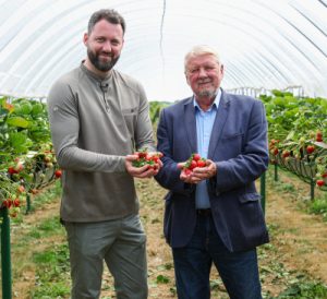 Berry industry being squeezed: Rising costs and retail pressures could ...